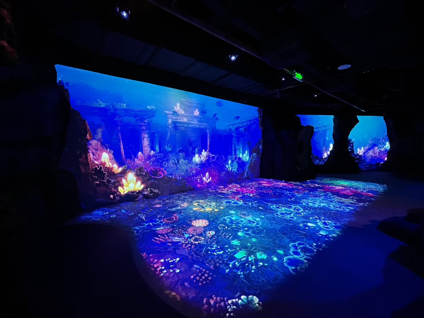 Digital Aquarium | The Seashell Aquarium | Hencefort